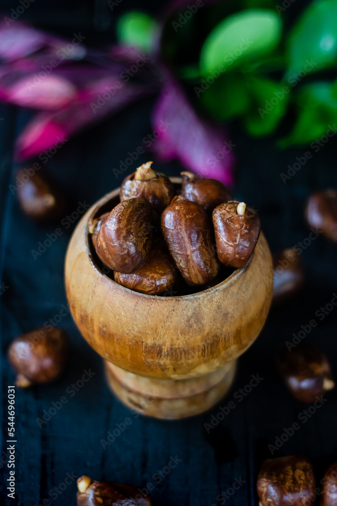 Artocarpus altilis, exotic fruit rich in carbohydrates and fiber ...