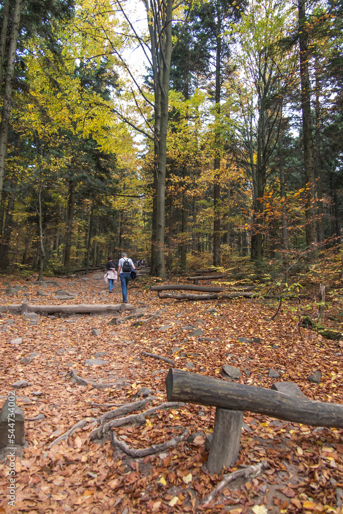 Tourist trail in the Jodłowa Primeval Forest, from Saint Catherine to ...
