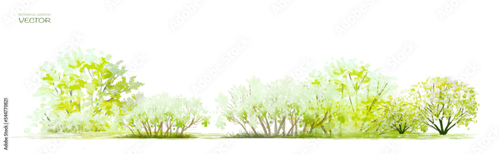 Vector watercolor of tree side view isolated on white background for ...
