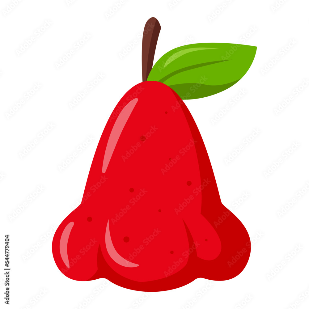 Water Apple Fruit Cartoon Illustration Isolated on White Background ...