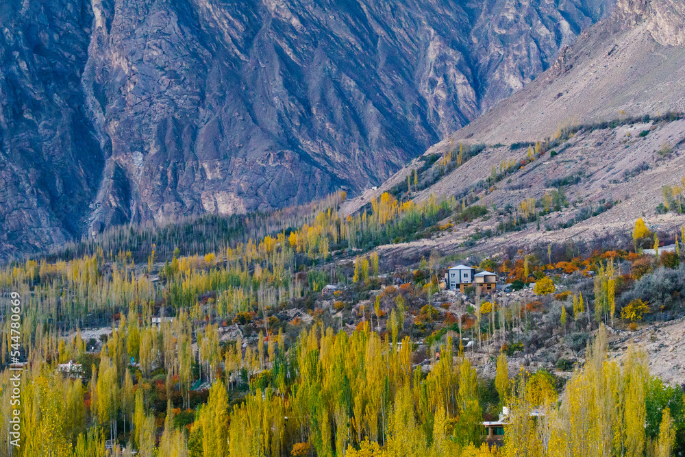 Autumn view of Hunza valley with Mount Rakaposhi (7,788m) - a mountain ...