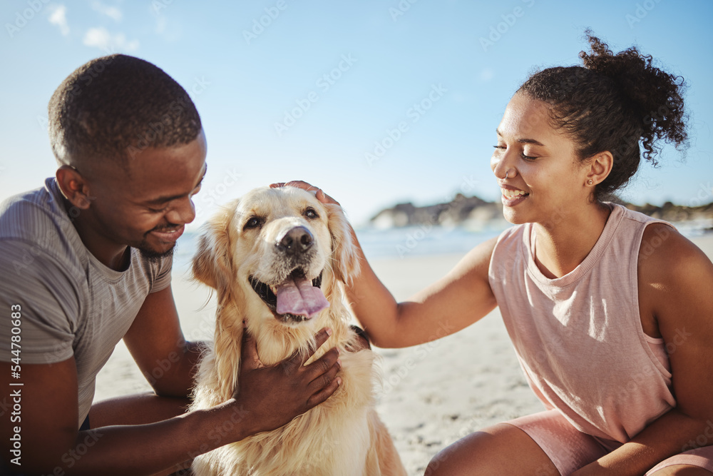 Relax, couple and dog at a beach, happy and smile while bonding ...