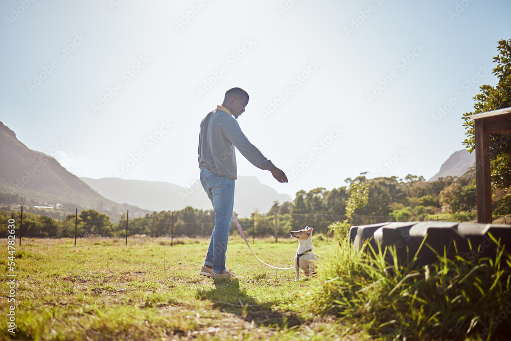 Man training dog pets at park, garden and outdoors on a leash with sky ...