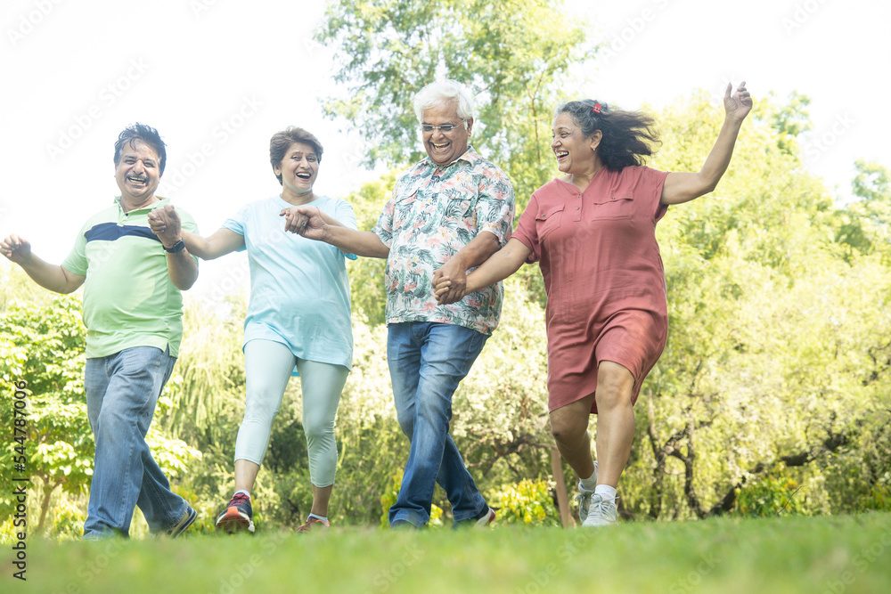 Group of happy indian senior men and women laughing and walking ...