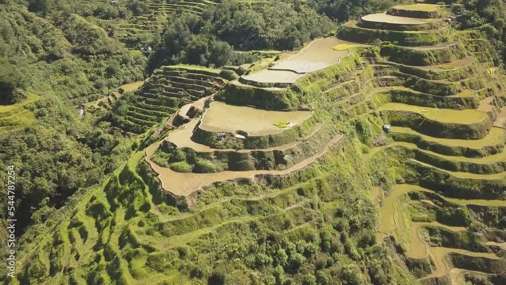 Aerial view of Rice Terraces in the Philippines. The Banaue Rice ...
