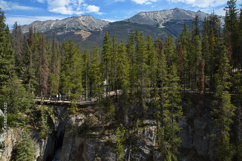 Hiking track at Sunwapta Falls on Sunwapta River in Jasper National ...