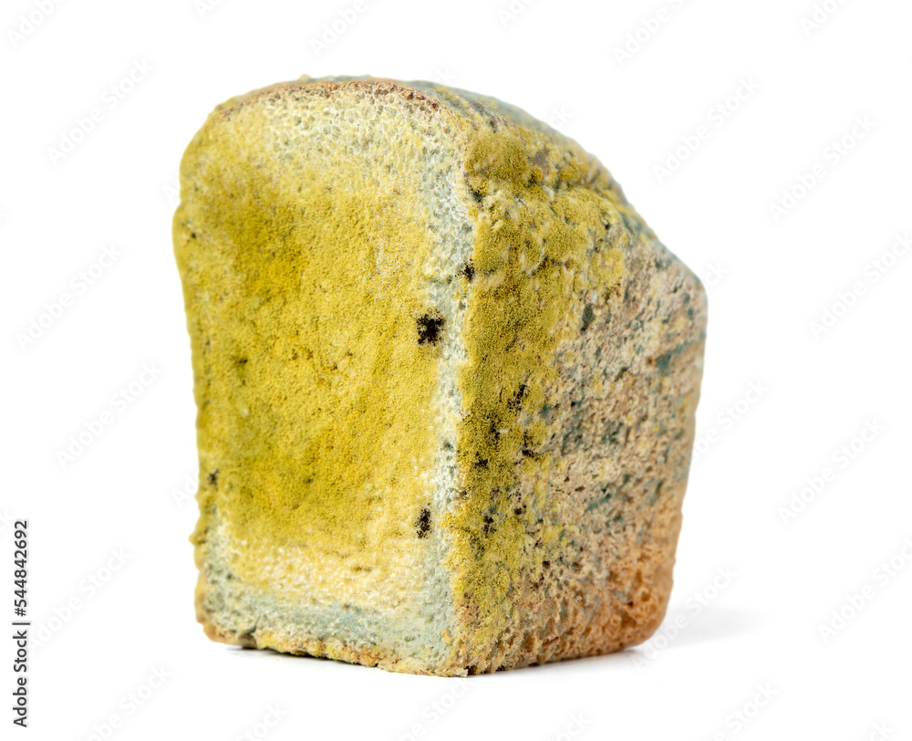 Old moldy spoiled loaf of bread with germinated bacteria, isolated on ...