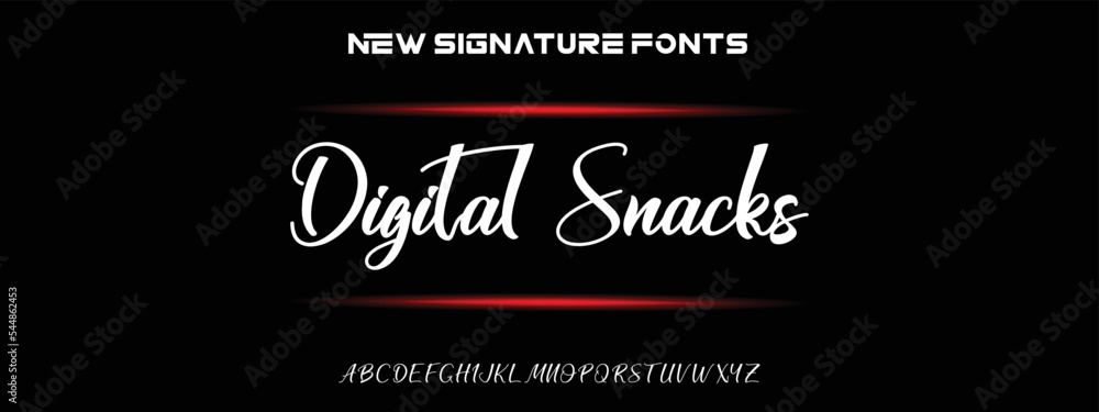 Digital Snacks Signature Font Calligraphy Logotype Script Font Type ...