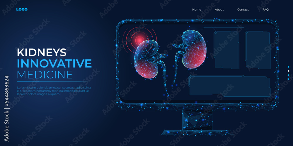 Digital 3d low poly model of a human kidney. Concept treatment of ...