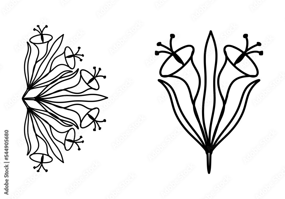 Flower, freehand drawing of a plant, with a black outline, on a ...
