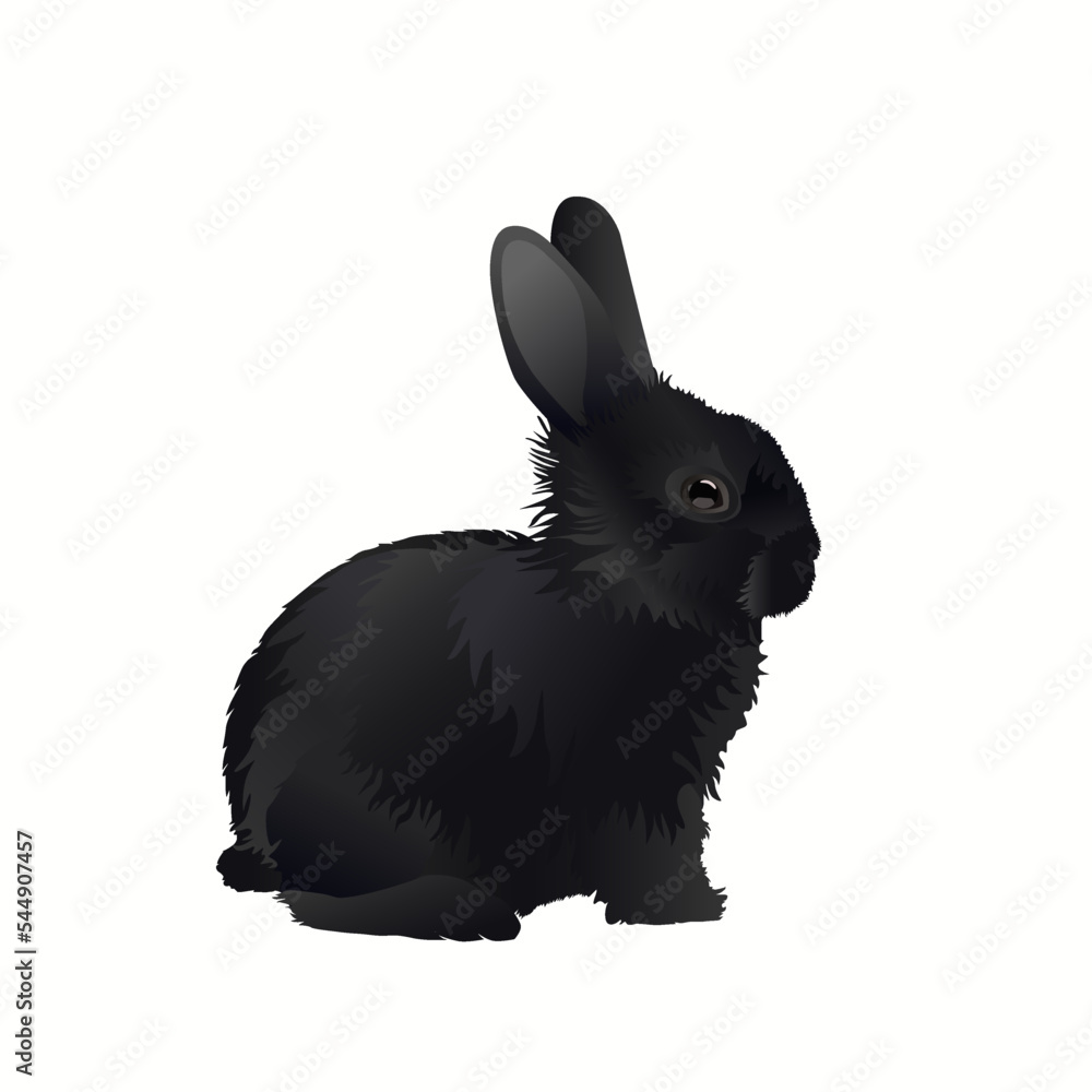 Cute little black rabbit. Vector illustration of a black rabbit ...