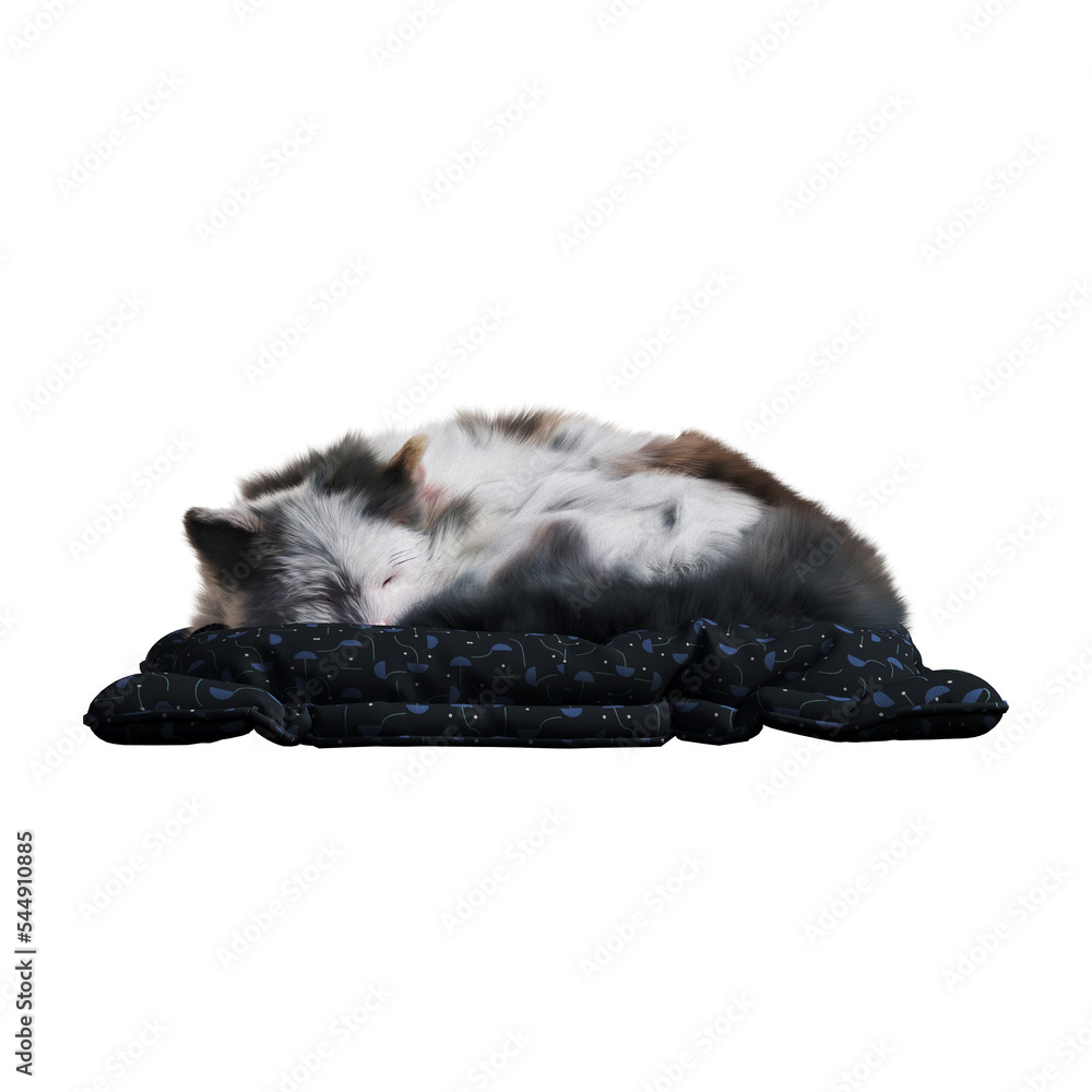 cat isolate on a transparent background, 3d illustration, cg render ...