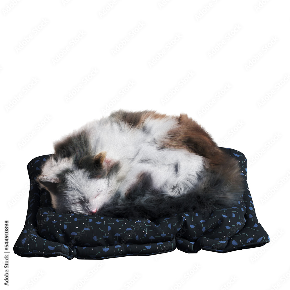 cat isolate on a transparent background, 3d illustration, cg render ...