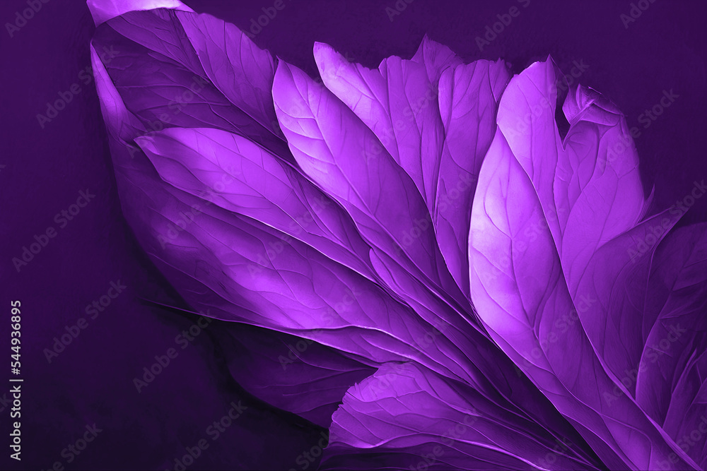 Violet Vs Purple Difference