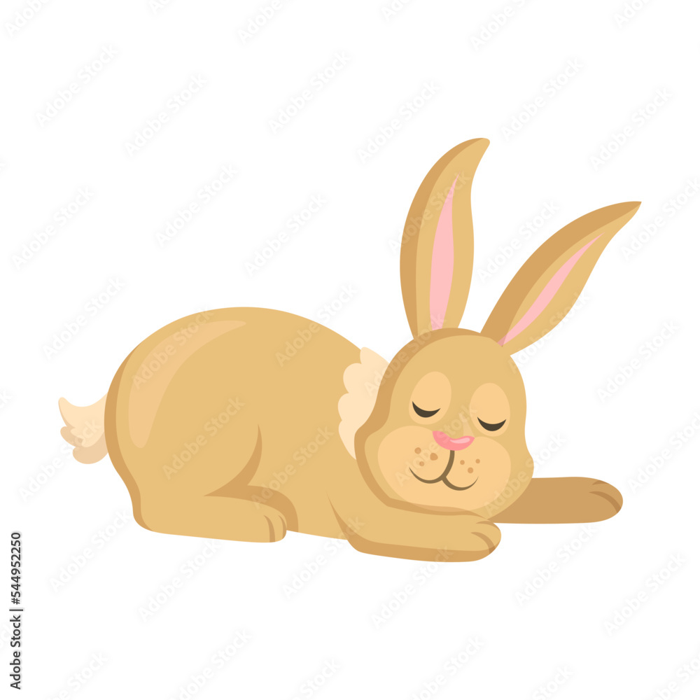 Cartoon Rabbit Sleeping
