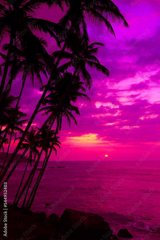 Palm Trees Pink Sunset
