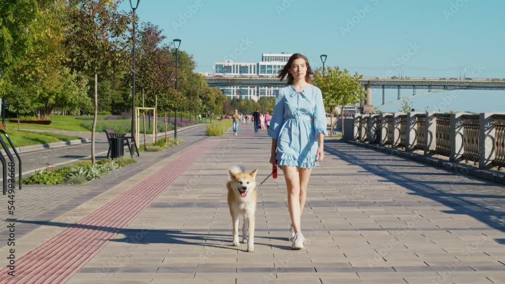 Beautiful girl in dress walks dog on leash in urban park. Young woman ...