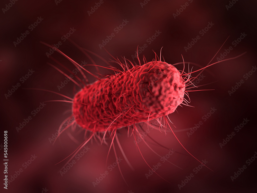close up of 3d microscopic bacteria cells Escherichia Coli (E. Coli ...