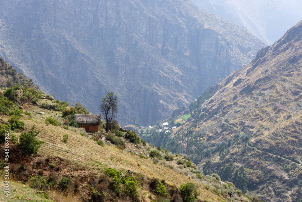 Casa o choza de pueblo junto a un árbol, al pie de las montañas en los ...