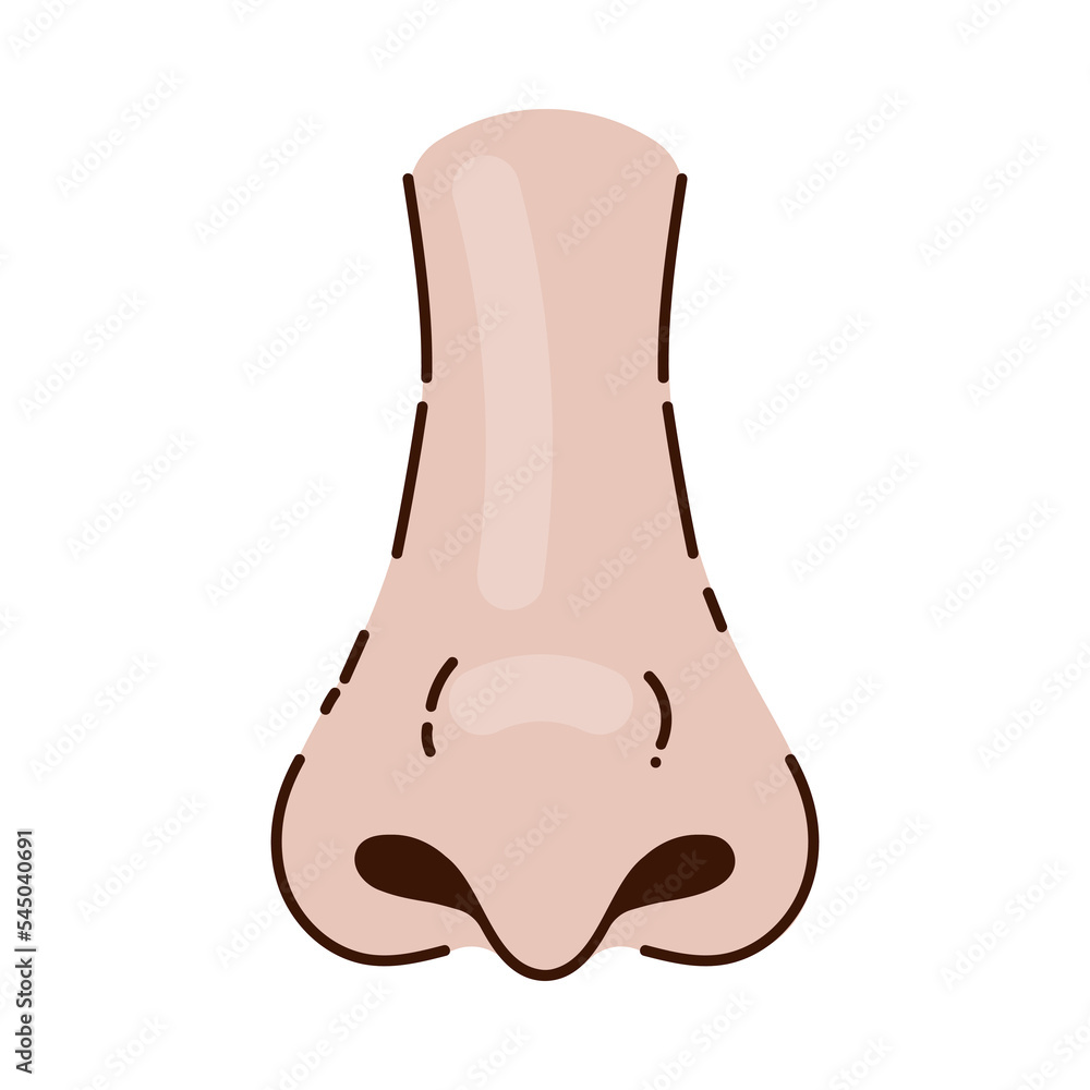 Thin nose of white person with pointy tip cartoon illustration. Nose of ...