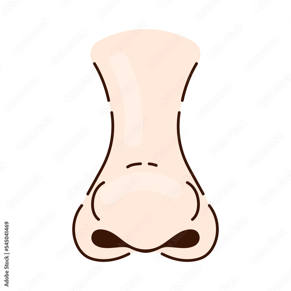 Nose of Caucasian person with round tip cartoon illustration. Nose of ...