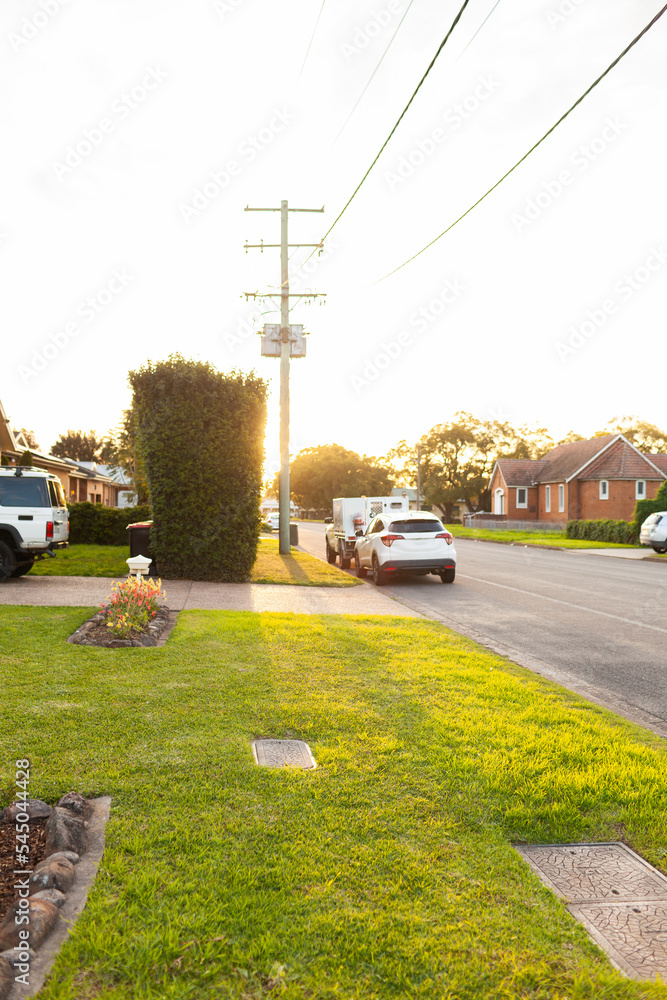 Neat and tidy lawn grass of front yard on street corner in warm sunset ...