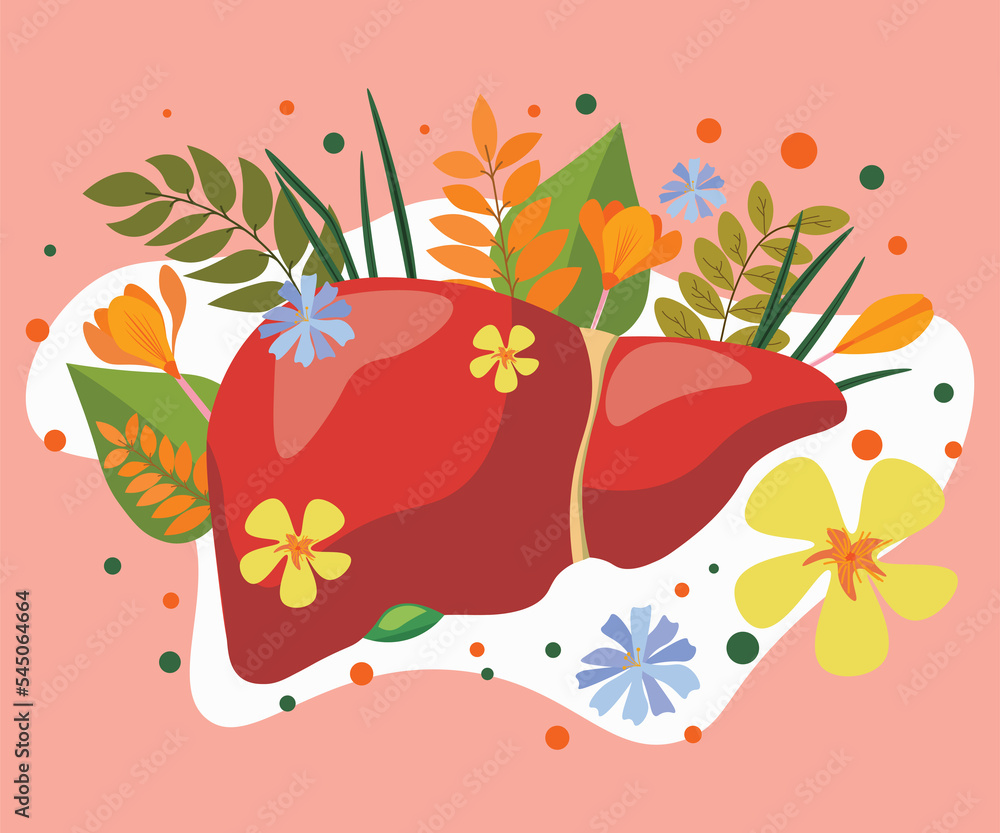 Liver Awareness Month, Love Your Liver, healthy liver, healthy ...