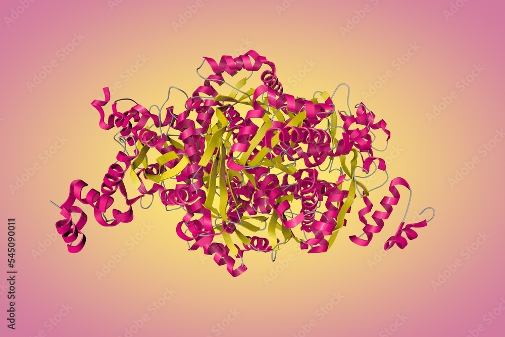 Thermodynamic and structure guided design of statin hmg-coa reductase ...