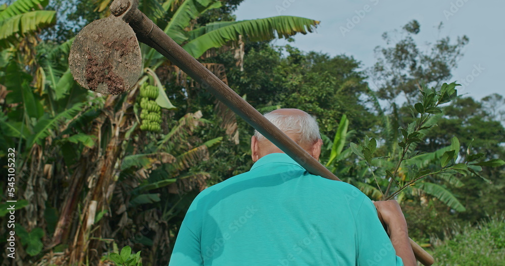 One older farmer walking outdoors with farming tool over his shoulder ...