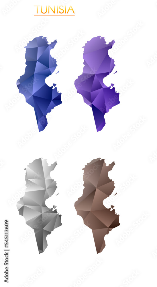 Set of vector polygonal maps of Tunisia. Bright gradient map of country ...