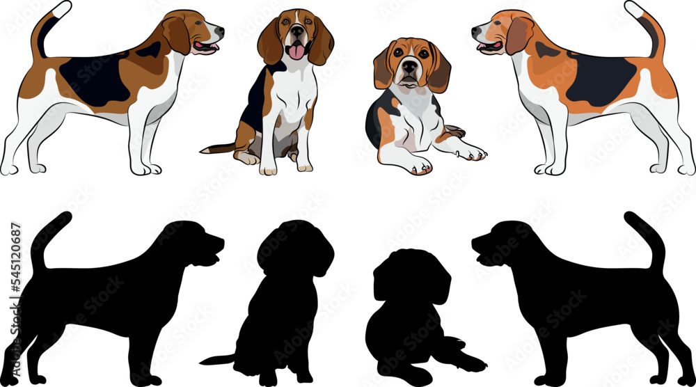 Beagle silhouettes. Laying, sitting, standing dog. Cute brown dogs ...