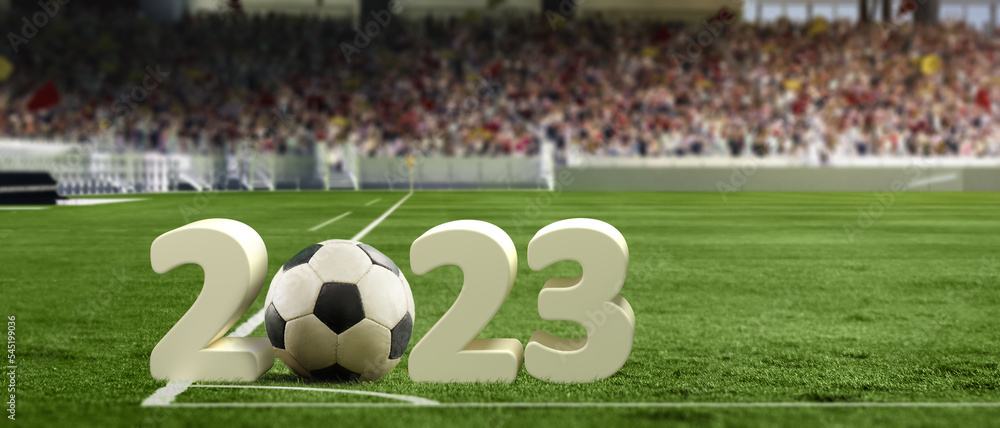 Poster Traditional soccer football ball on grass of football field ...