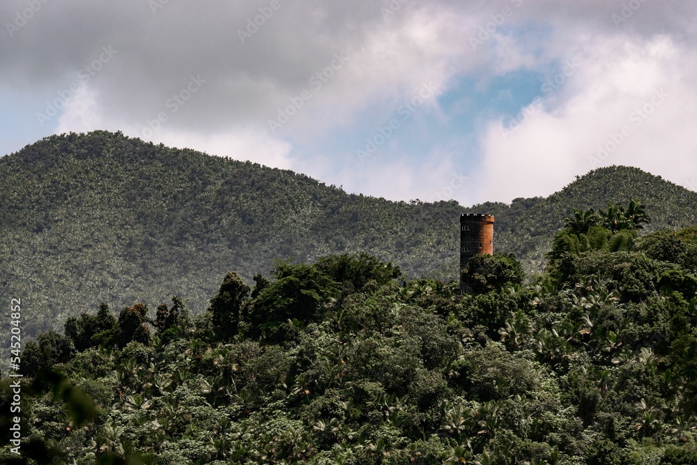 El Yunque National Forest and Yokahu Tower with scenic lush trees and ...