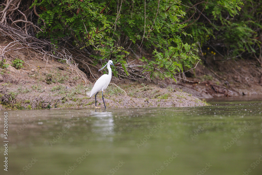 Danube Delta is a UNESCO World Heritage Site and one of the biggest ...