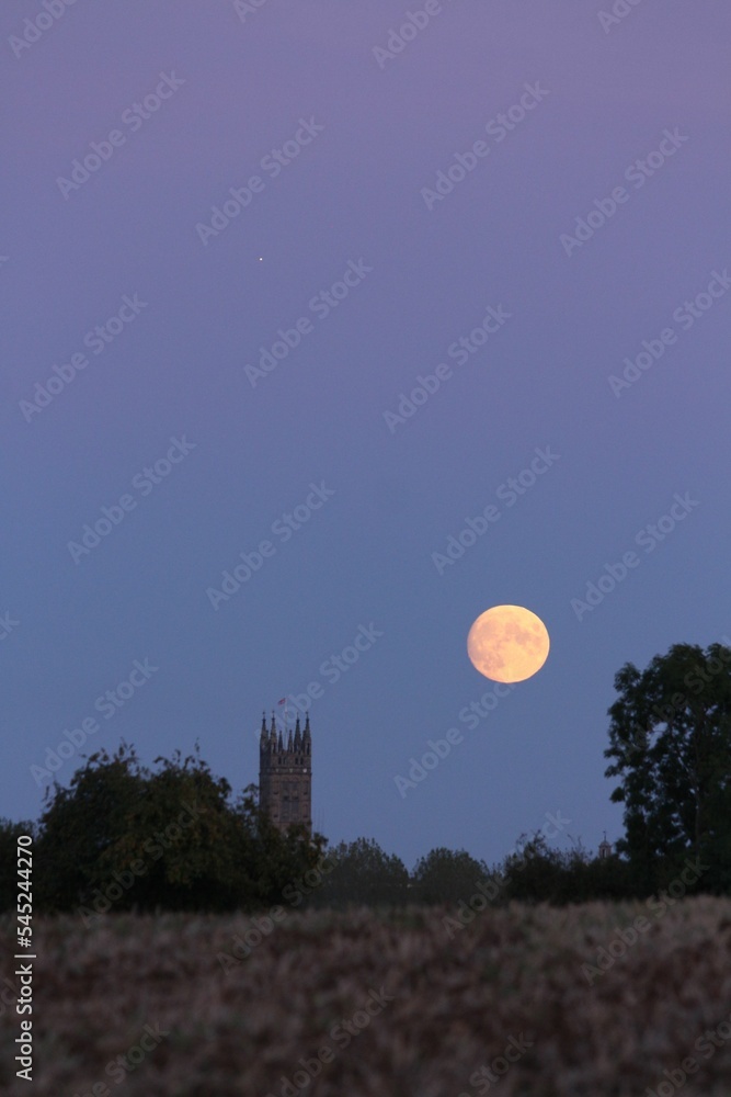 Vertical of a big bright full moon captured in the evening sky next to ...