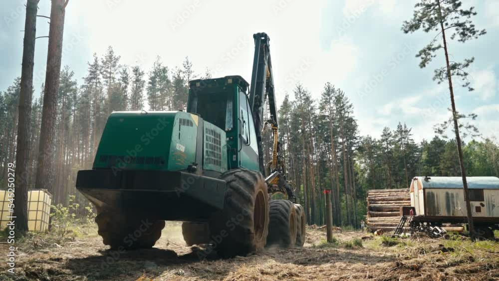 Operating an industrial timber harvester in the forest. Industrial wood ...