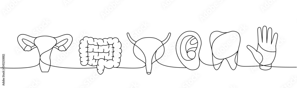 Set of human organ one line continuous drawing. Tooth, bladder ...