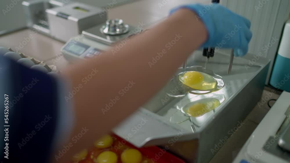 Analysing the quality of the organic chicken egg food sample. Examining ...