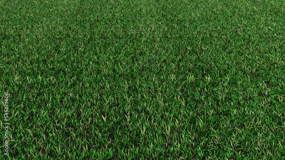 Lush grass nature background. Seamless texture or you can use for your ...