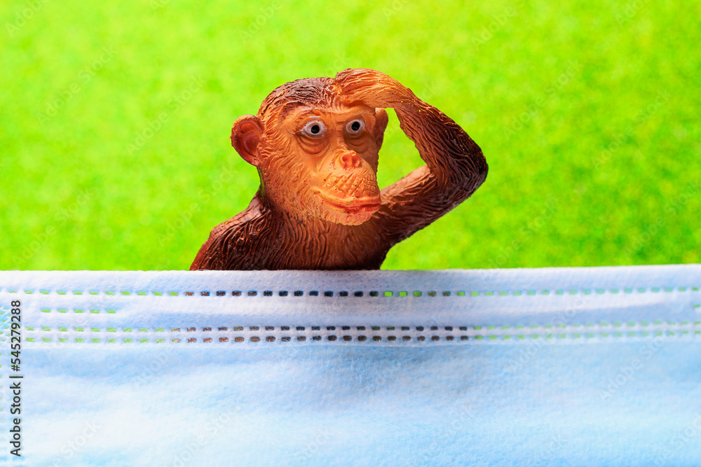 Figurine of a monkey behind a medical surgical mask. The concept of ...