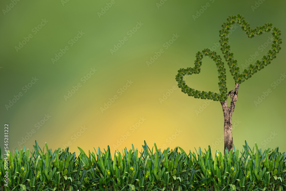 Tree of love and saving environment on the occasion of Valentine's Day ...