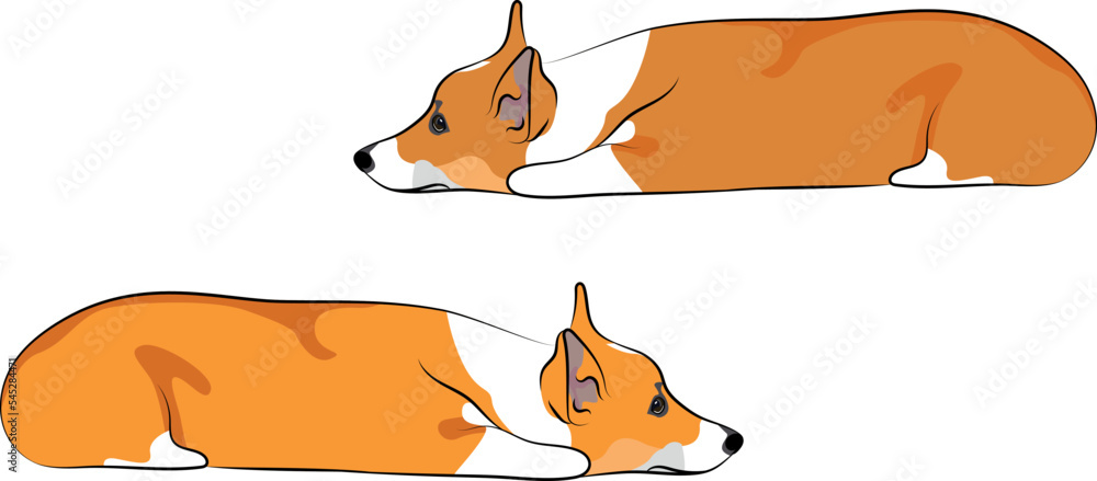 Laying, side view Welsh Corgi dogs. Cute hunting dog logo design, breed ...