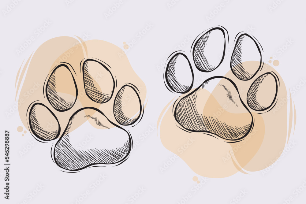 Hand drawn dog or cat paws, outline drawing of two pet paw against ...