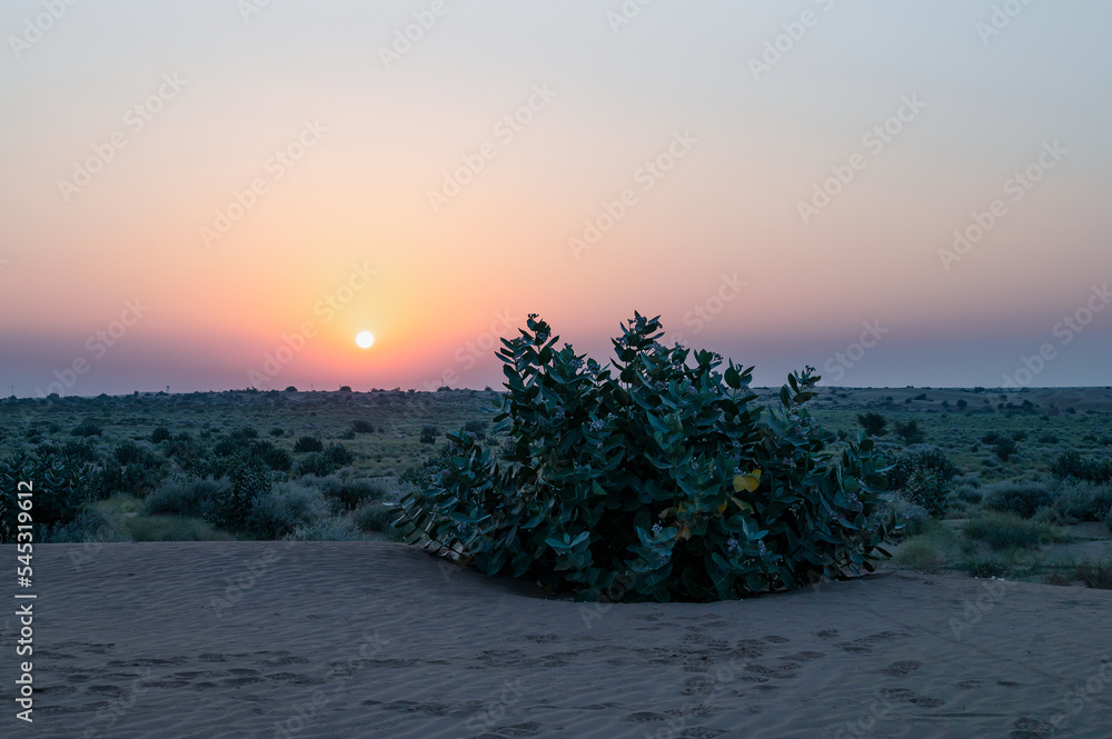 Sun rising at the horizon of Thar desert, Rajasthan, India. Tourists ...