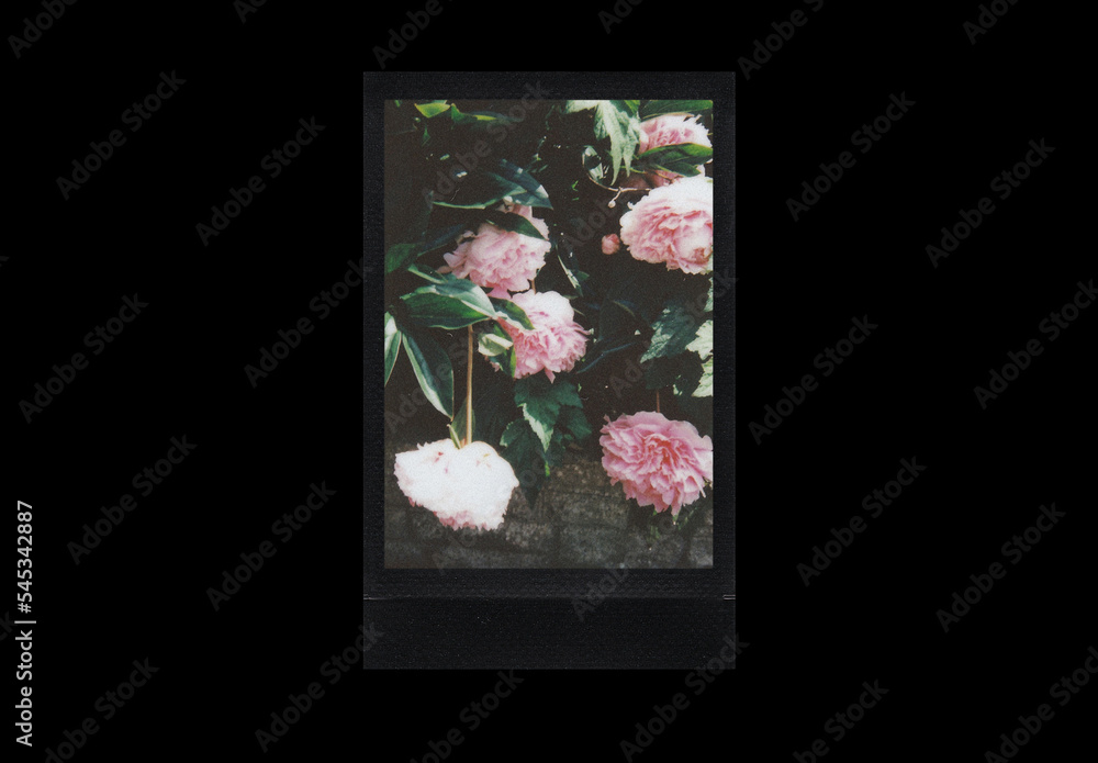 Analog Film Frame Photo Effect Mockup Template Stock Template | Adobe Stock