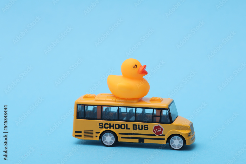Back to school. Rubber duck on a school bus, blue background Stock ...