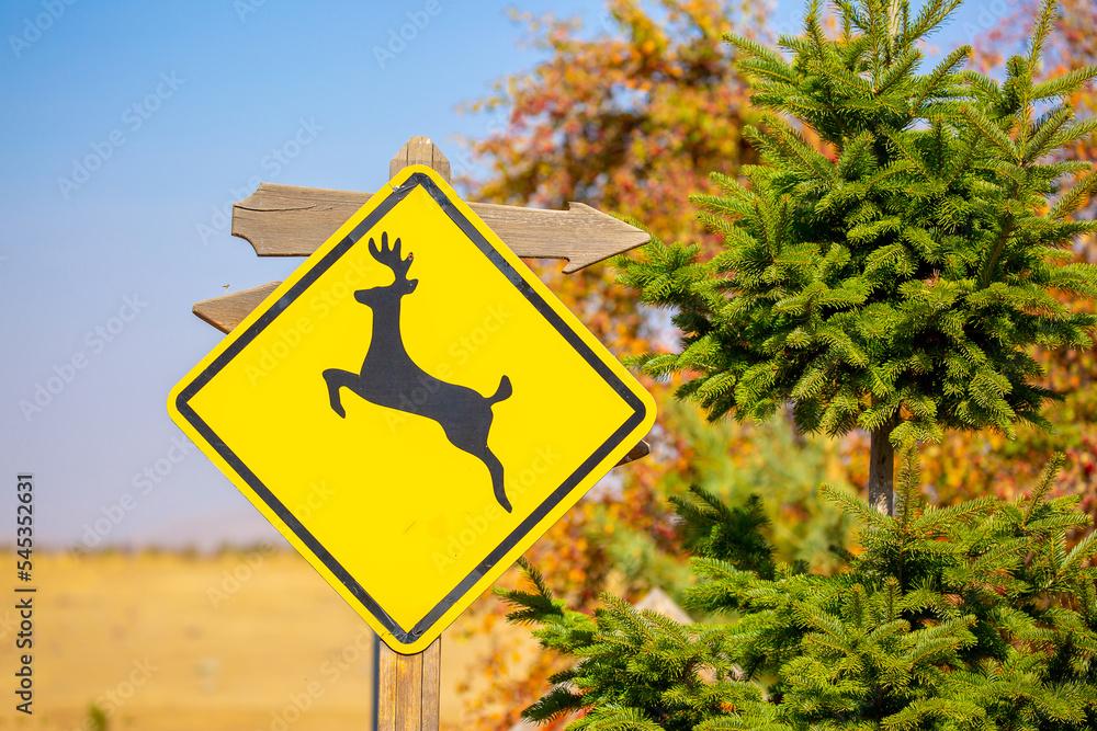 Deer crossing warning yellow sign, California, USA. Caution wild ...