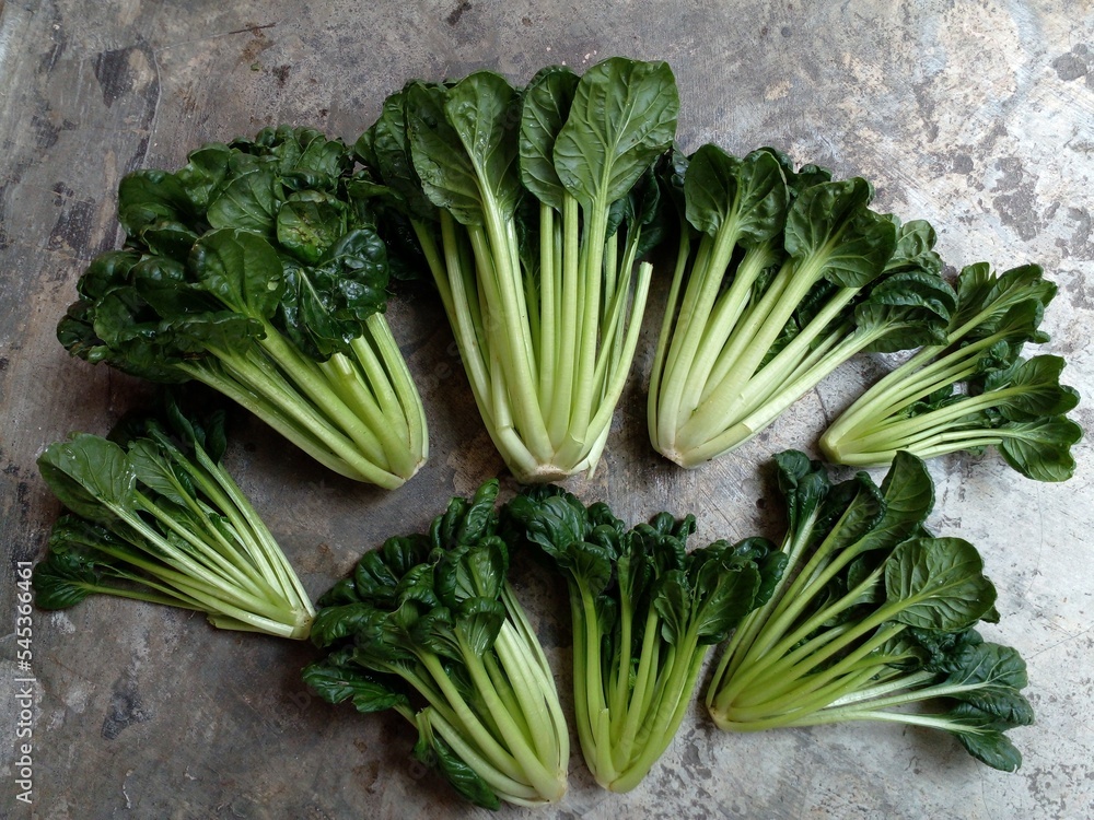 Sawi Pagoda, also known by other names, namely ta ke chai or tatsoi ...