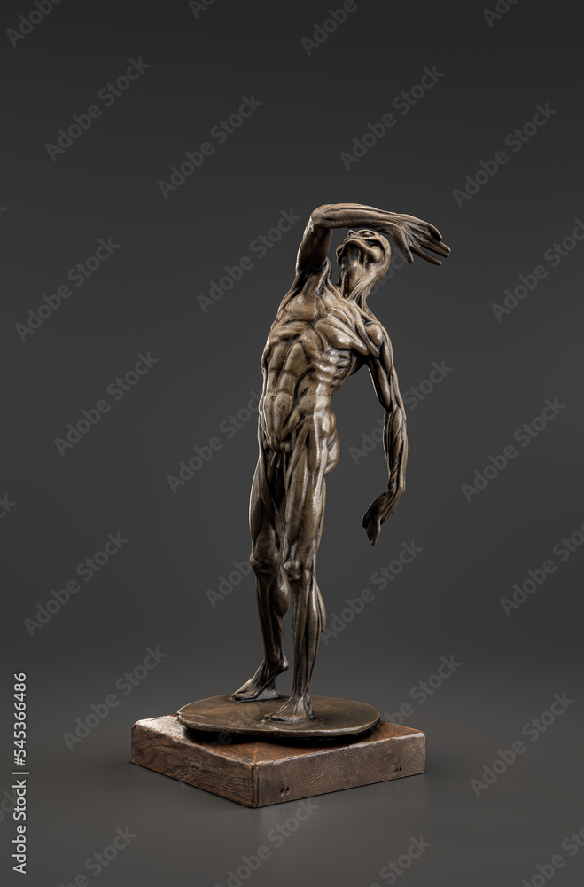 Anatomic model from 1500s. The anatomical model depicts a nude male ...