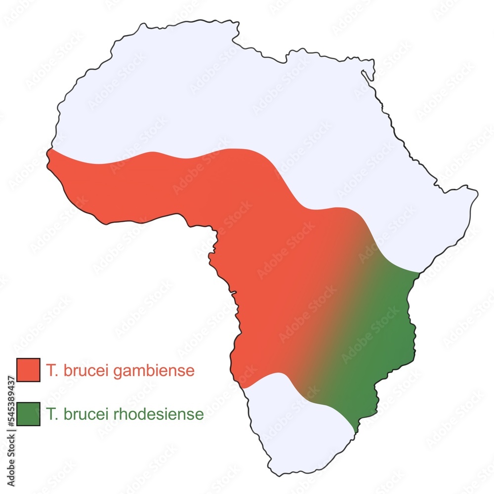 distribution map of Trypanosoma brucei gambiense and Trypanosoma brucei ...